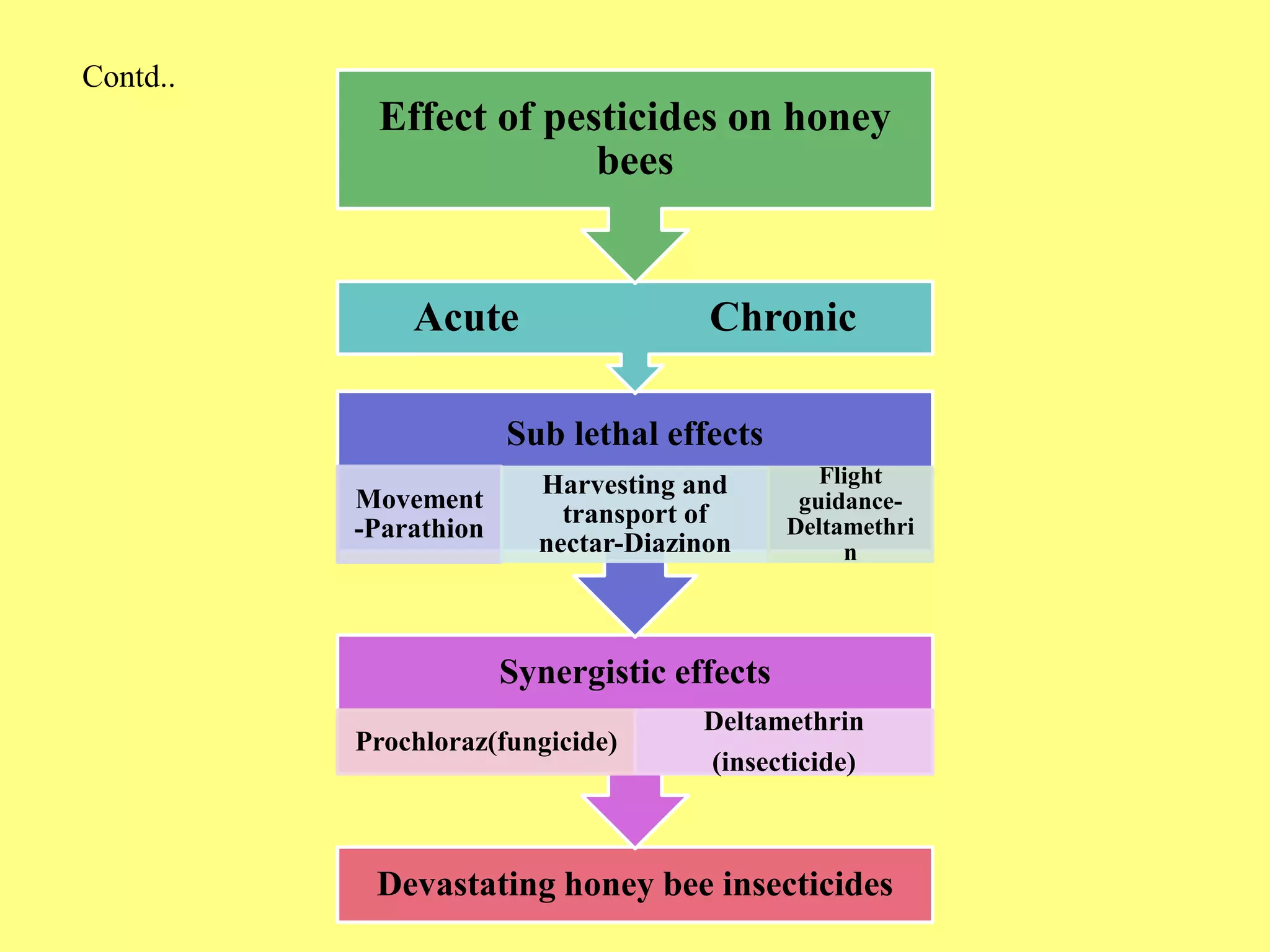 Pesticides a threat to honey bees | PPTX