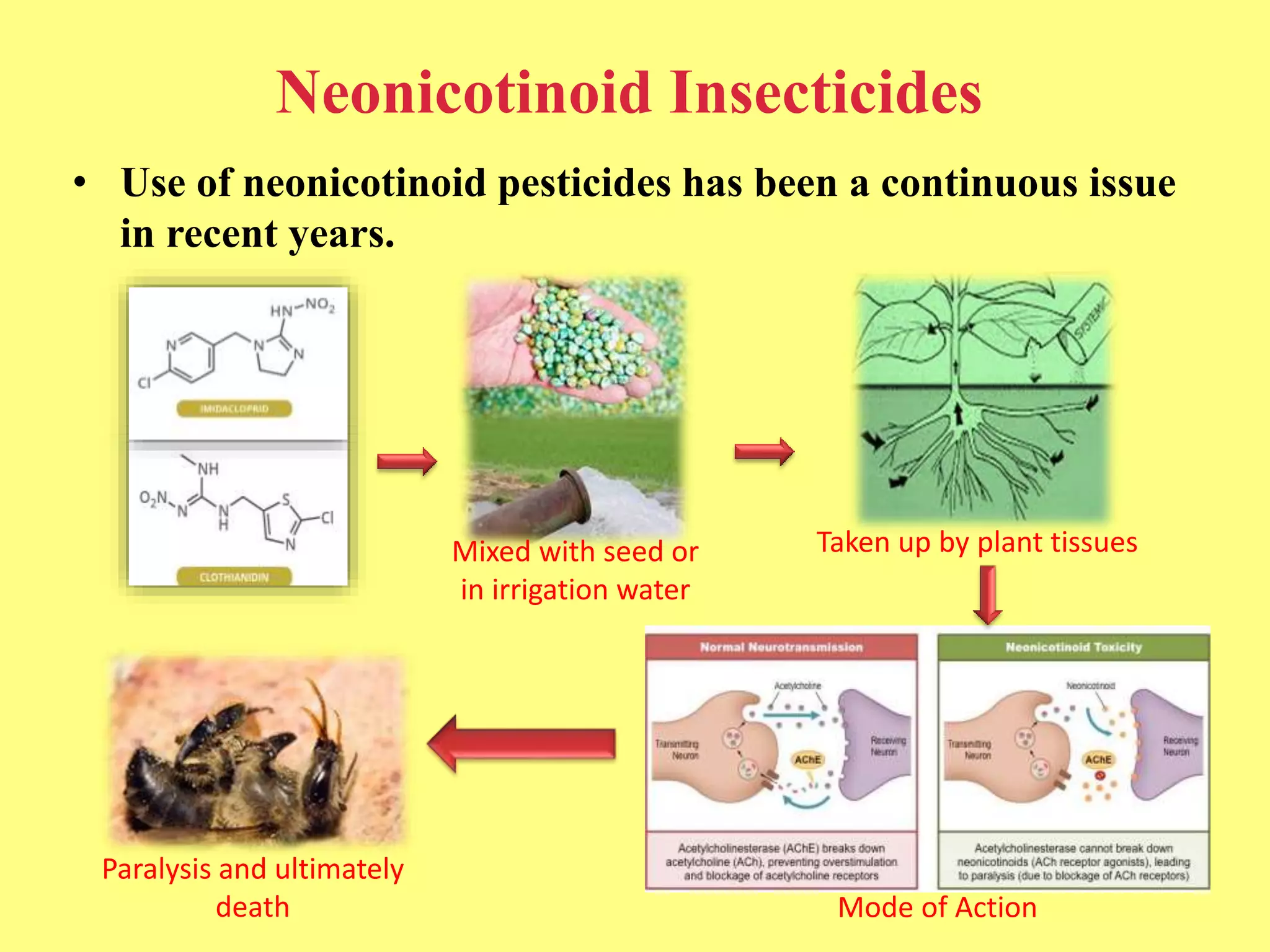 Pesticides a threat to honey bees | PPTX