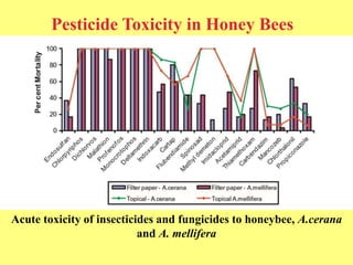 Pesticides a threat to honey bees | PPTX
