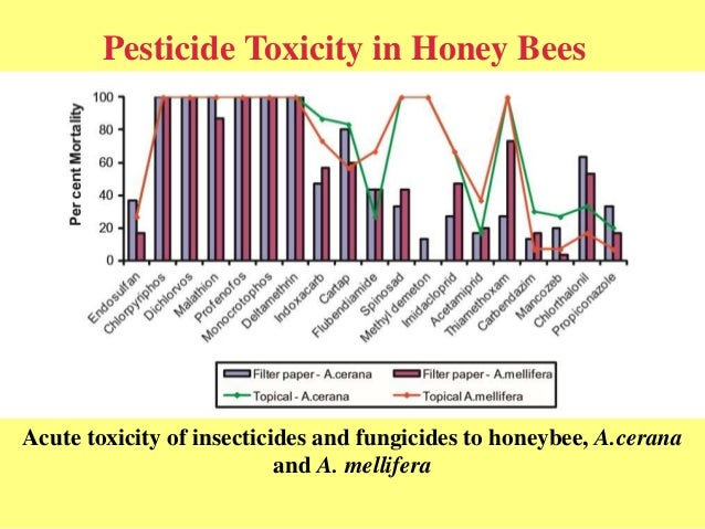 Pesticides a threat to honey bees