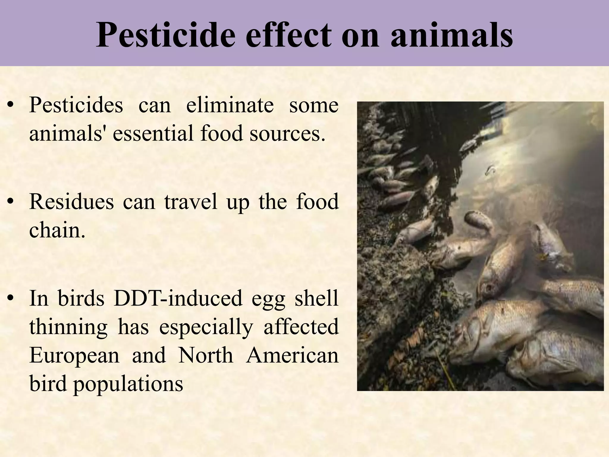 Pesticides use in agriculture: benefits, risks and safety | PPTX