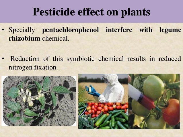 Pesticides use in agriculture: benefits, risks and safety