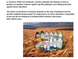 pesticides ppt.pdf
