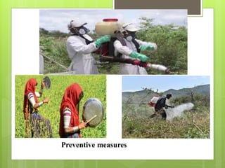Pesticide to kill locusts | PPT