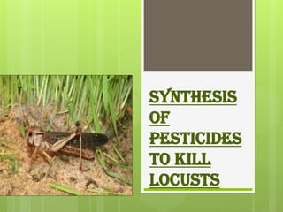 Pesticide to kill locusts | PPT