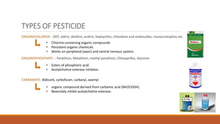 CURRENT PESTICIDE HAZARDS IN AGRICULTURE AND HUMAN HEALTH; APPROACHES ...