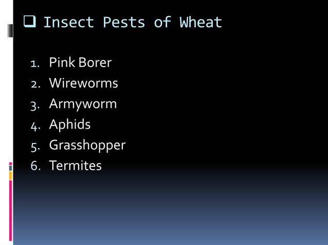 insect pest identification of rice, maize and wheat | PPTX