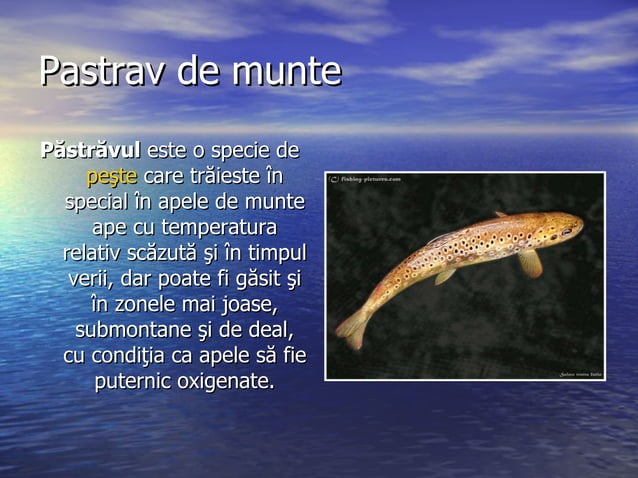 Despre pesti AdrianP | PPT