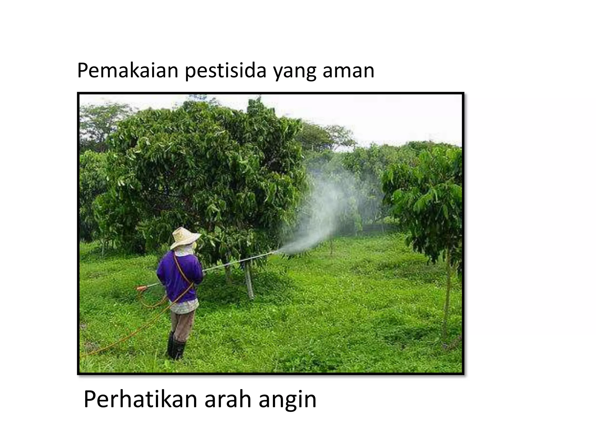 Pestisida dan aplikasi 1 | PPTX