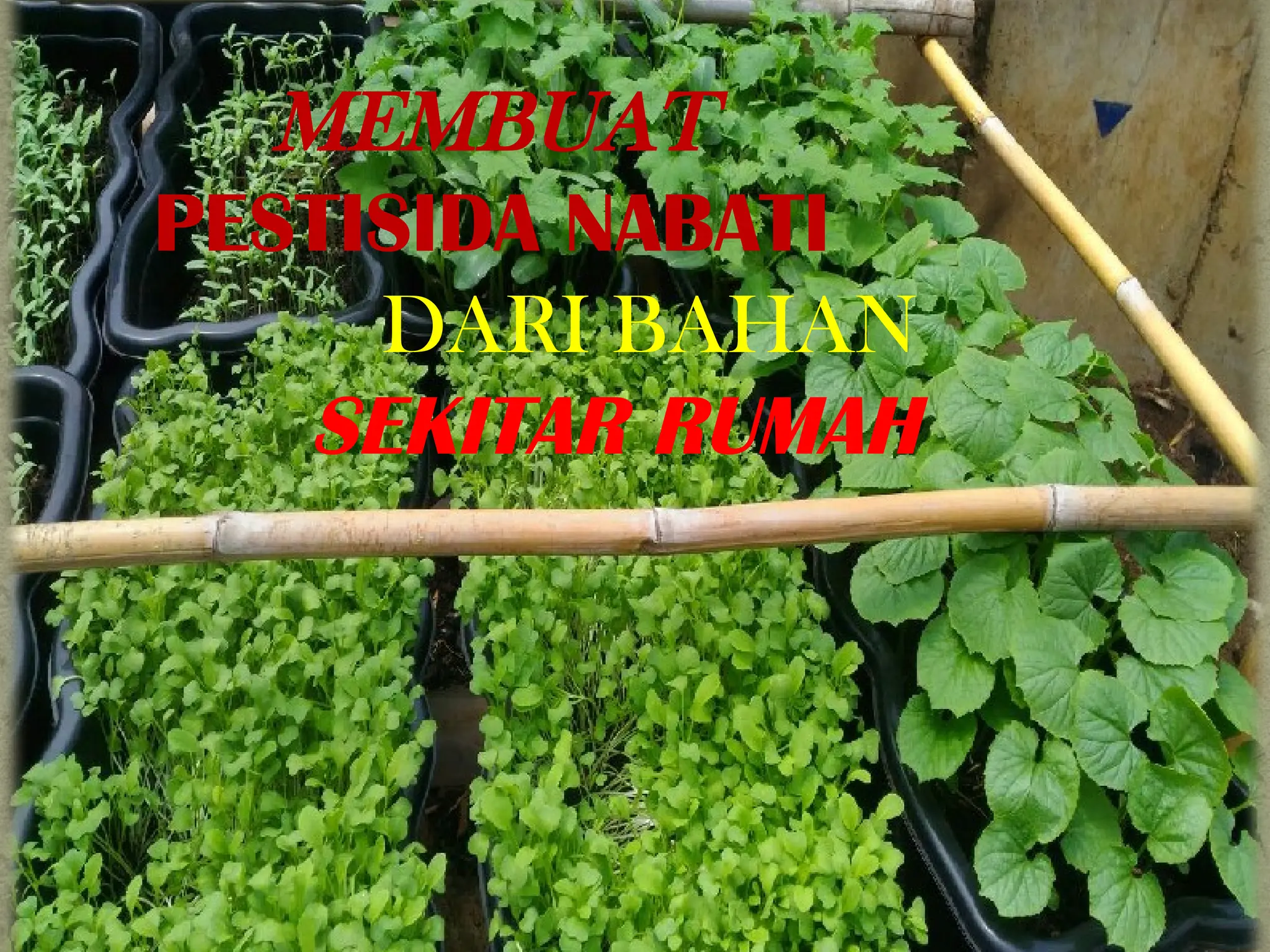 PESTISIDA NABATI organik ramah lingkungan | PPT