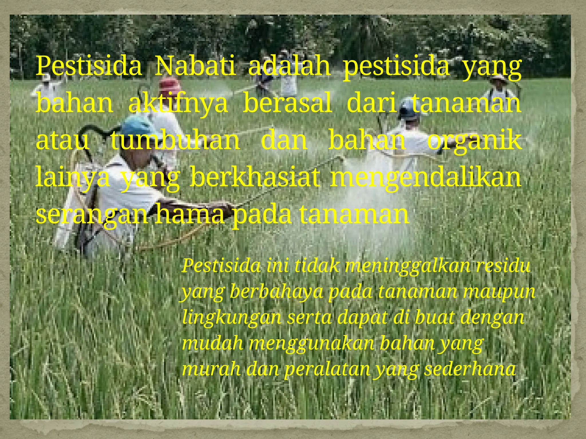 PESTISIDA NABATI organik ramah lingkungan | PPTX