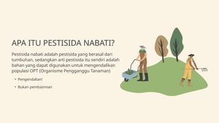 Pestisida Nabati (Materi Penyuluhan).pptx