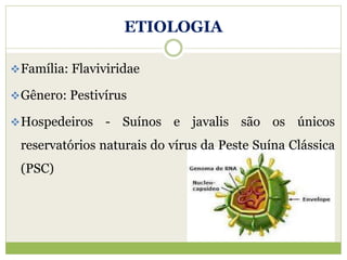 Pestivirus | PPTX
