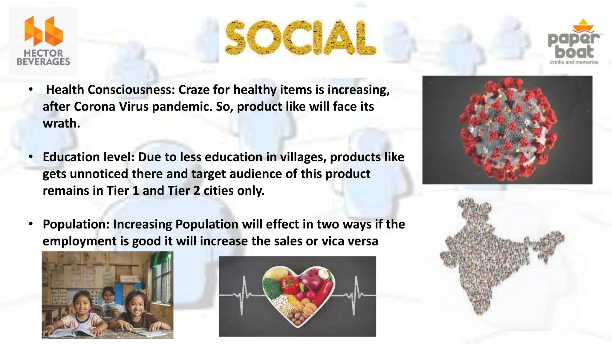PESTLE Analysis on Paper Boat.pptx