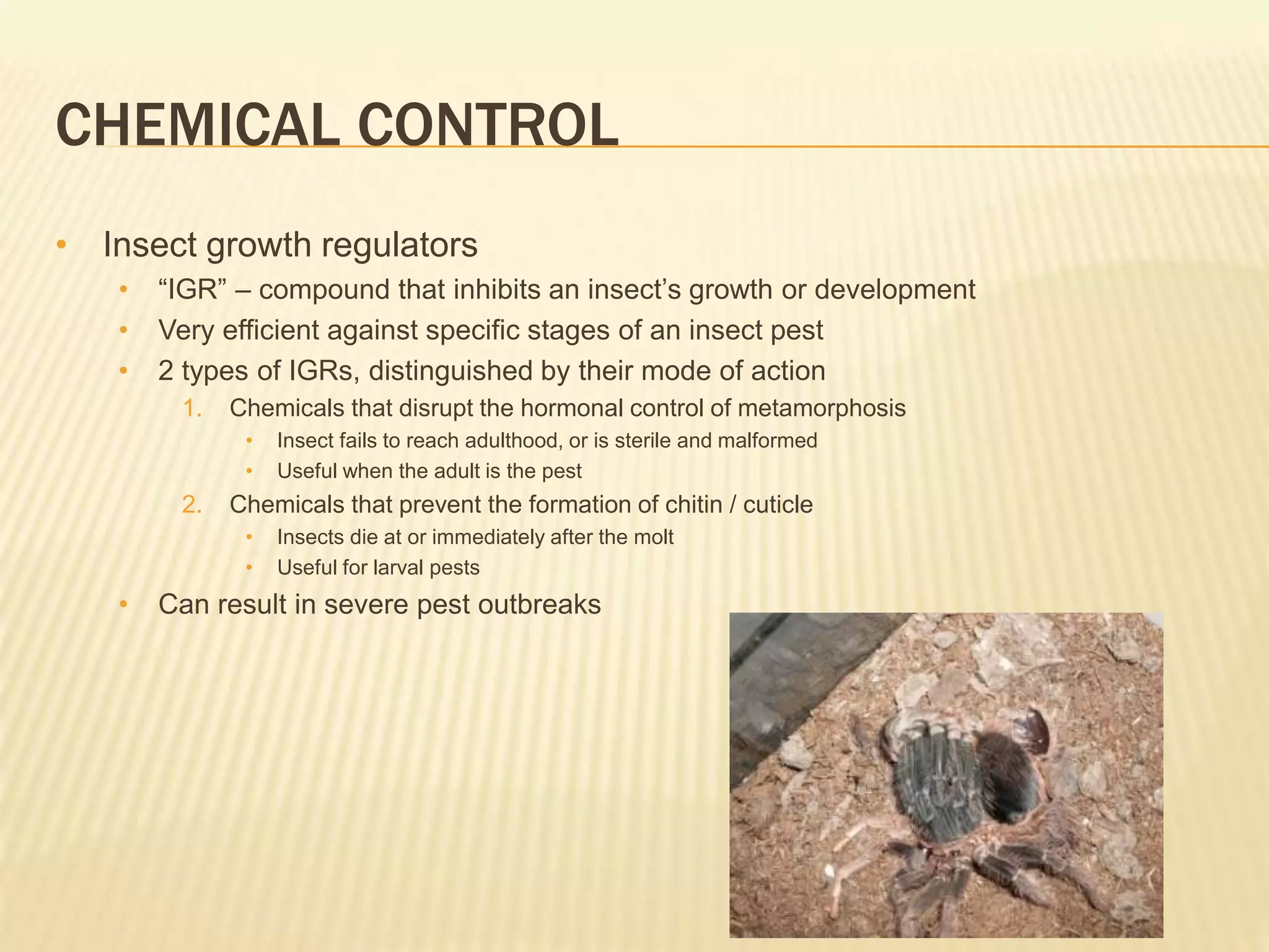 Pest Management.pptx