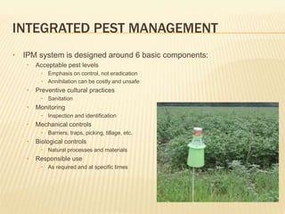 Pest Management.pptx