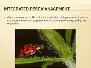 Pest Management.pptx