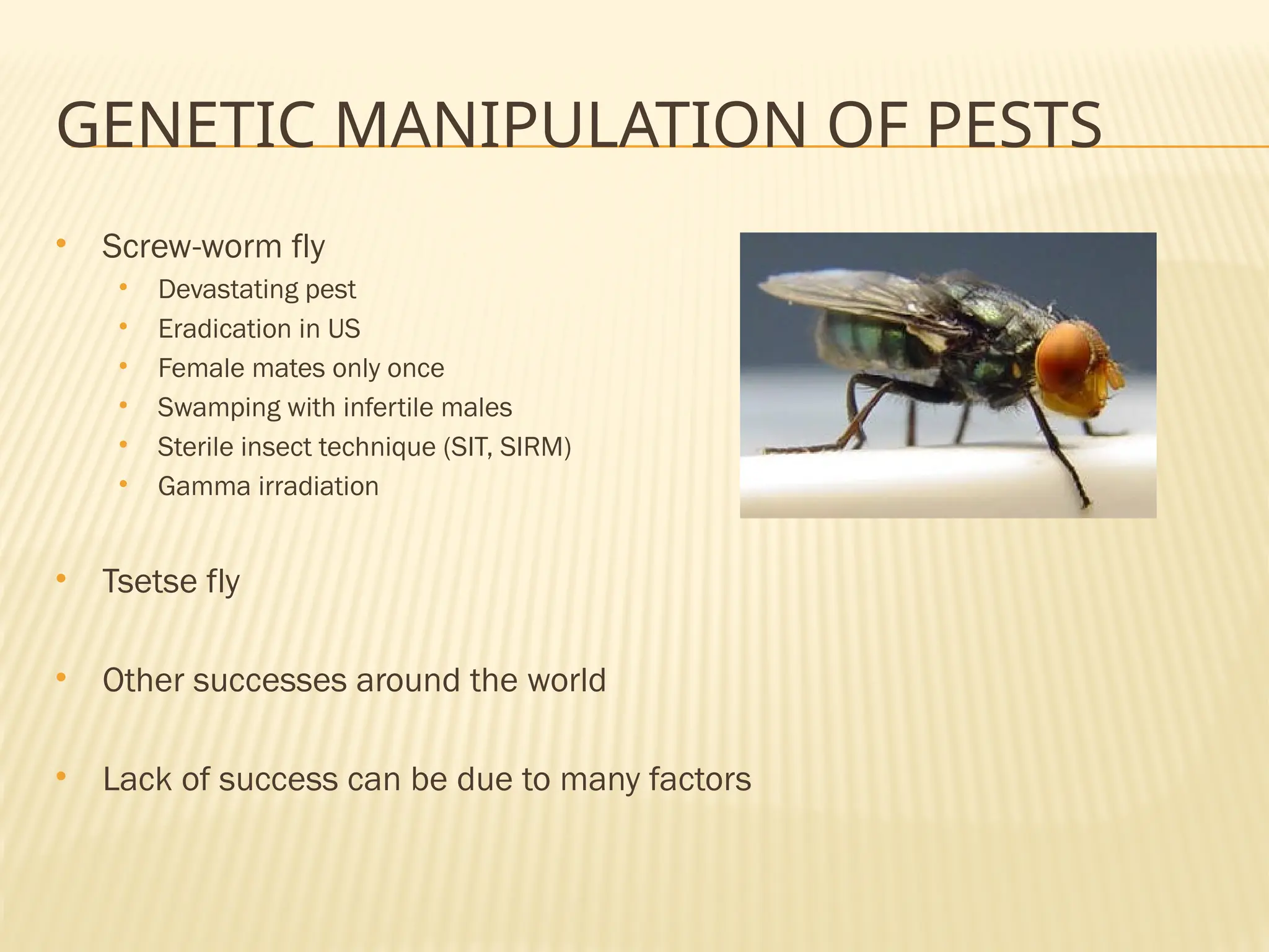 Food Safety management System - Pest Management | PPTX