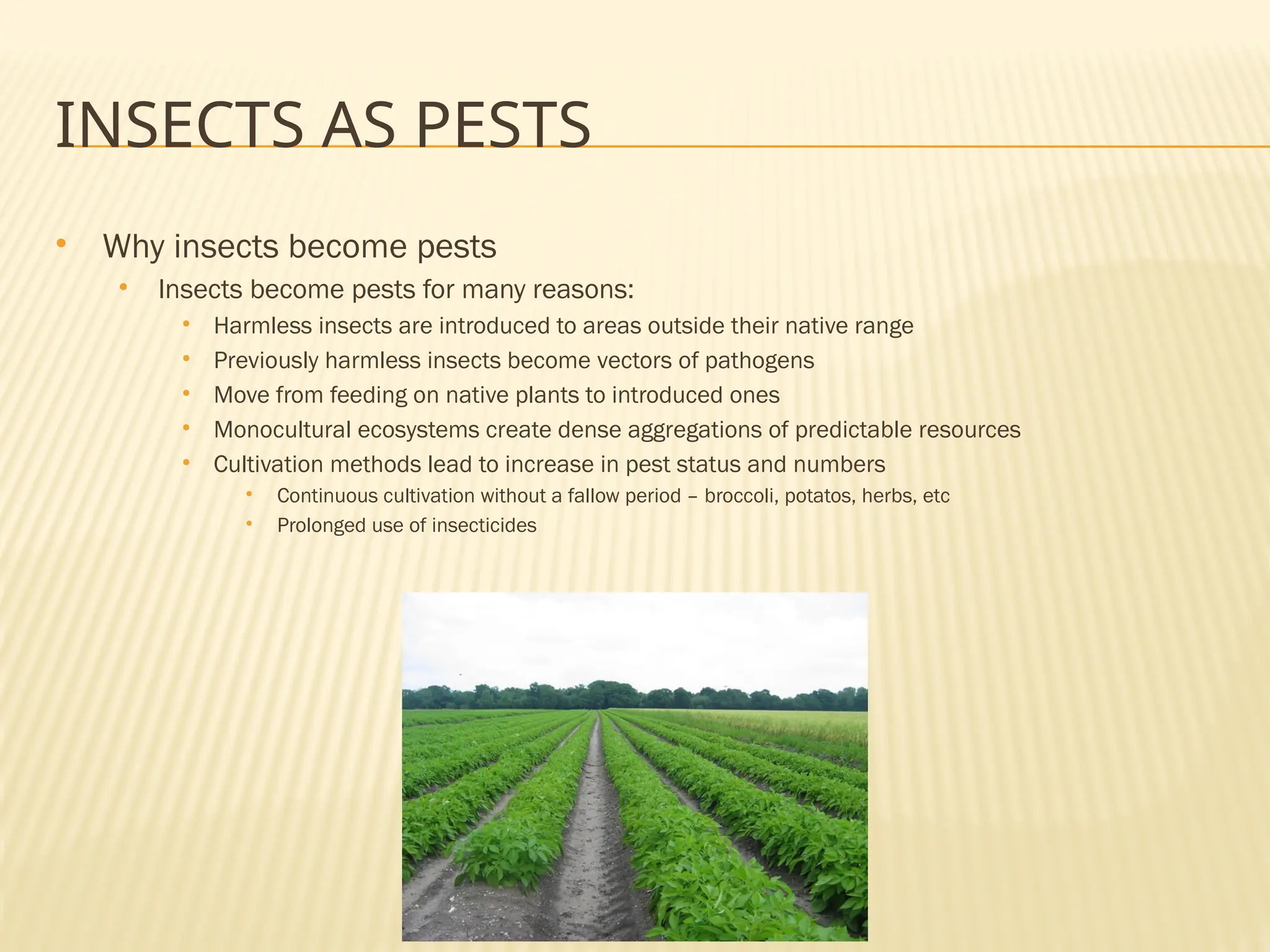 Food Safety management System - Pest Management | PPTX