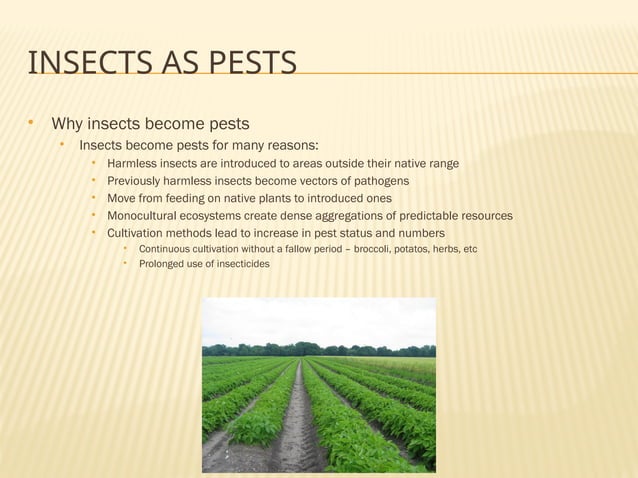 Food Safety management System - Pest Management | PPT