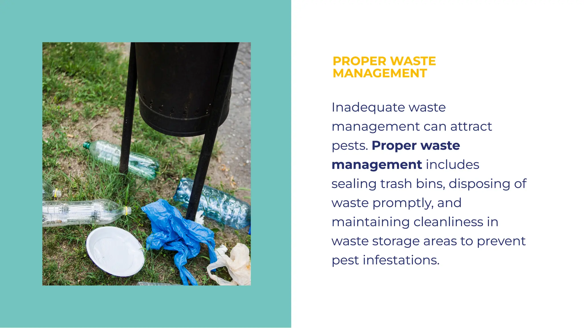 Pest Management for Restaurants and Food Service Businesses | PDF