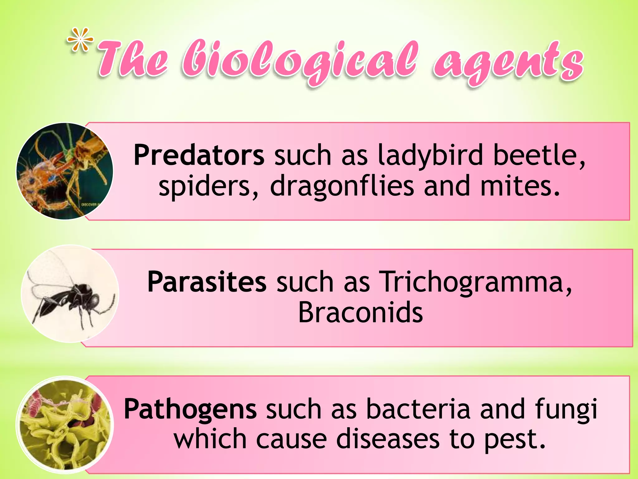 Pest management in organic farming | PPTX