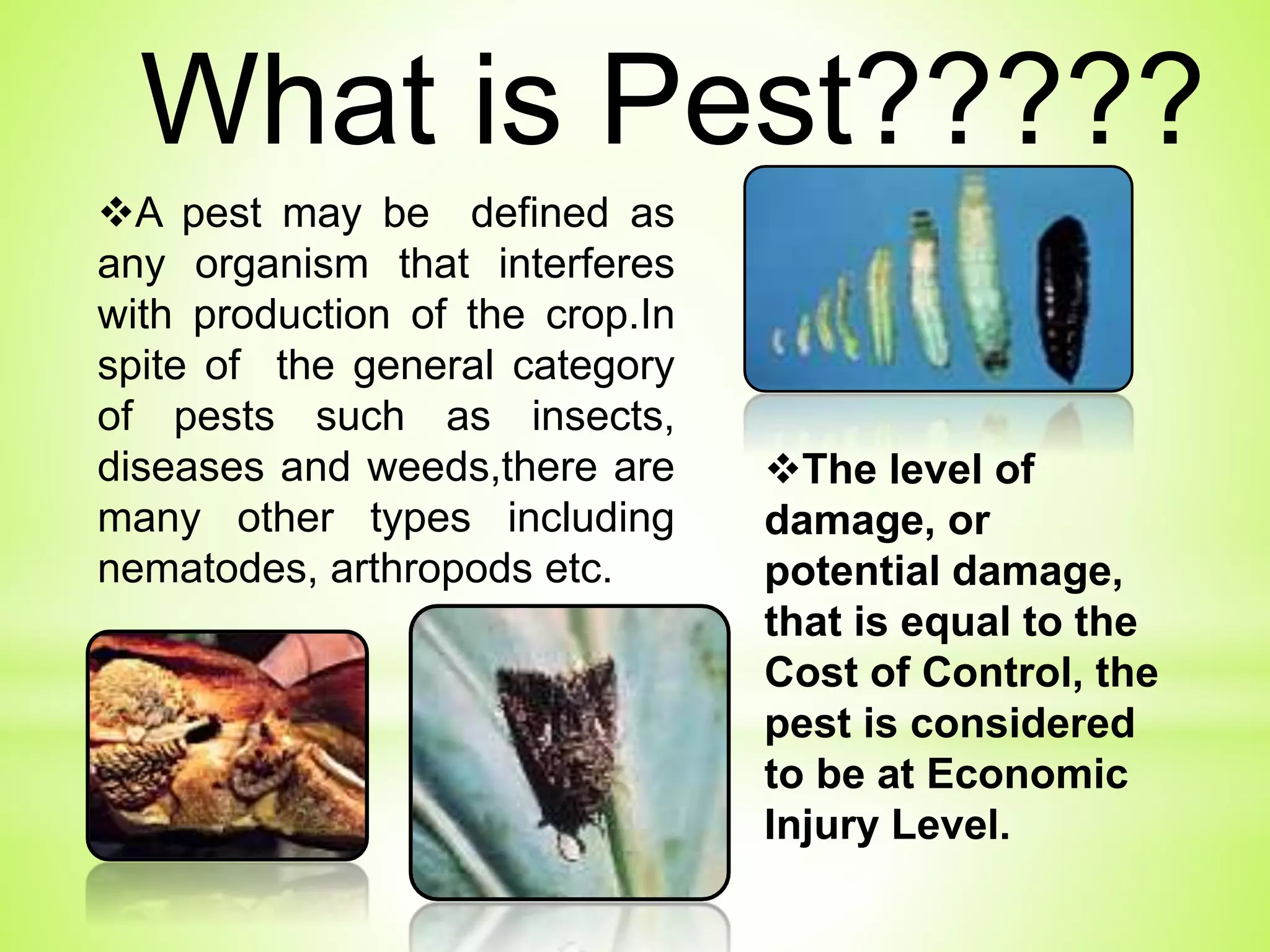 Pest management in organic farming | PPTX