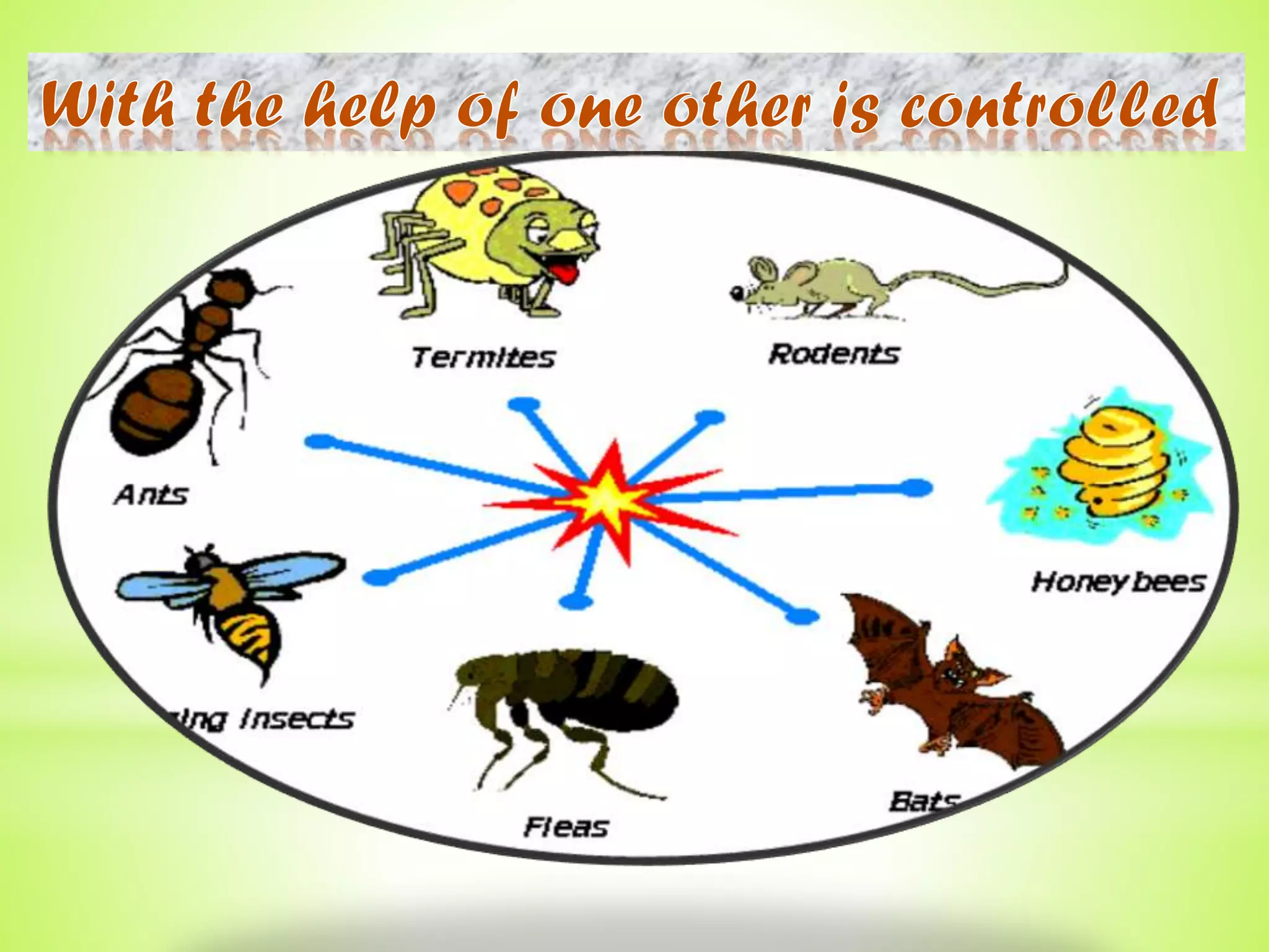 Pest management in organic farming | PPTX