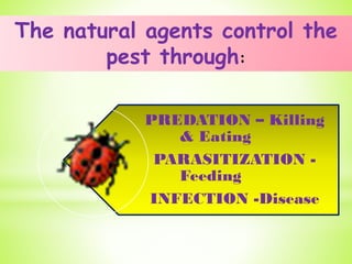 Pest management in organic farming | PPTX