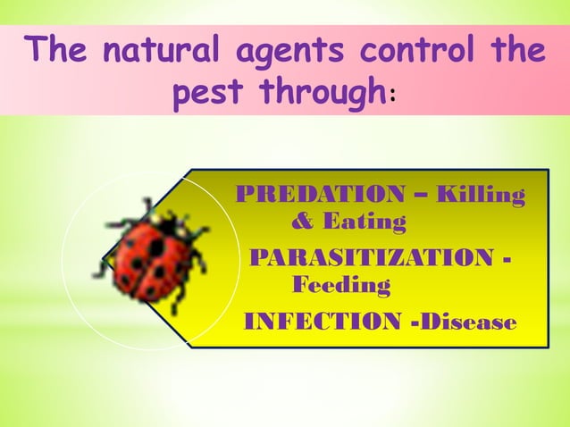 Pest management in organic farming | PPTX | Agriculture | Industries