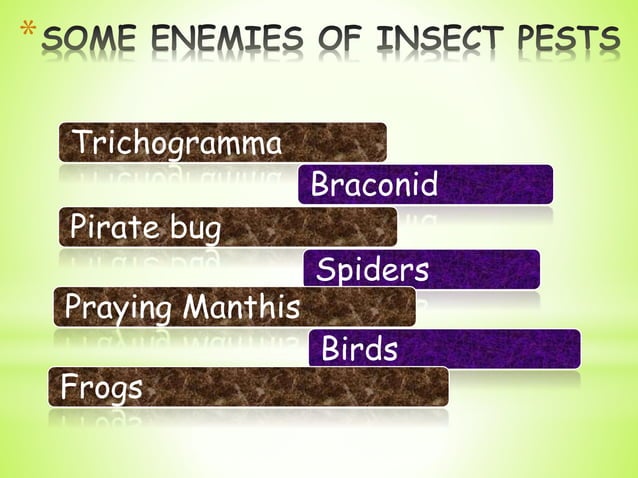 Pest management in organic farming | PPTX | Agriculture | Industries