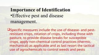 PEST MANAGEMENT lesson quarter 2 for grade 11 | PPTX