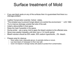 Museum Object Pest & Mold Control Methods in Storage-JenniferHein ...