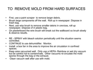 Museum Object Pest & Mold Control Methods in Storage-JenniferHein ...
