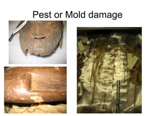 Museum Object Pest & Mold Control Methods in Storage-JenniferHein ...