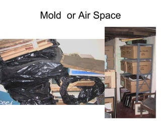 Museum Object Pest & Mold Control Methods in Storage-JenniferHein ...
