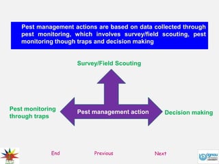 Pest monitoring.ppt
