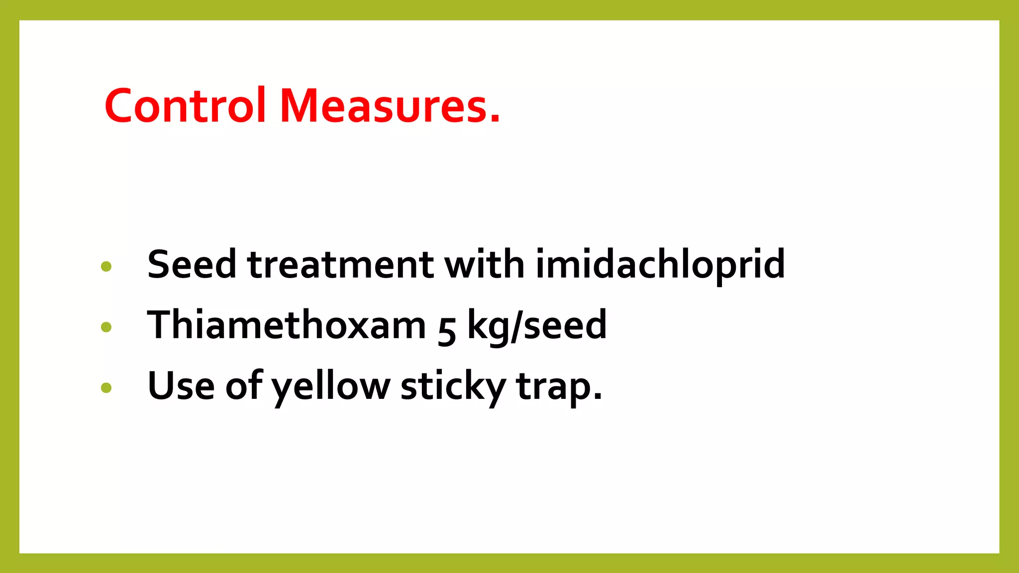 Pest of chilli. | PPTX