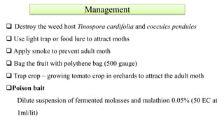 Pest of citrus.pptx Identification and Management of the pest | PPT