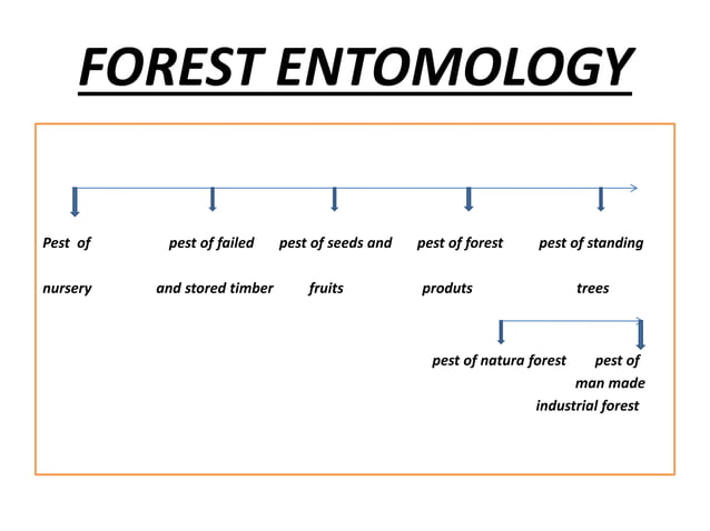 Pest of forest nurseries | PPTX