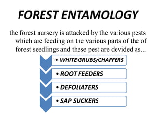 Pest of forest nurseries | PPTX