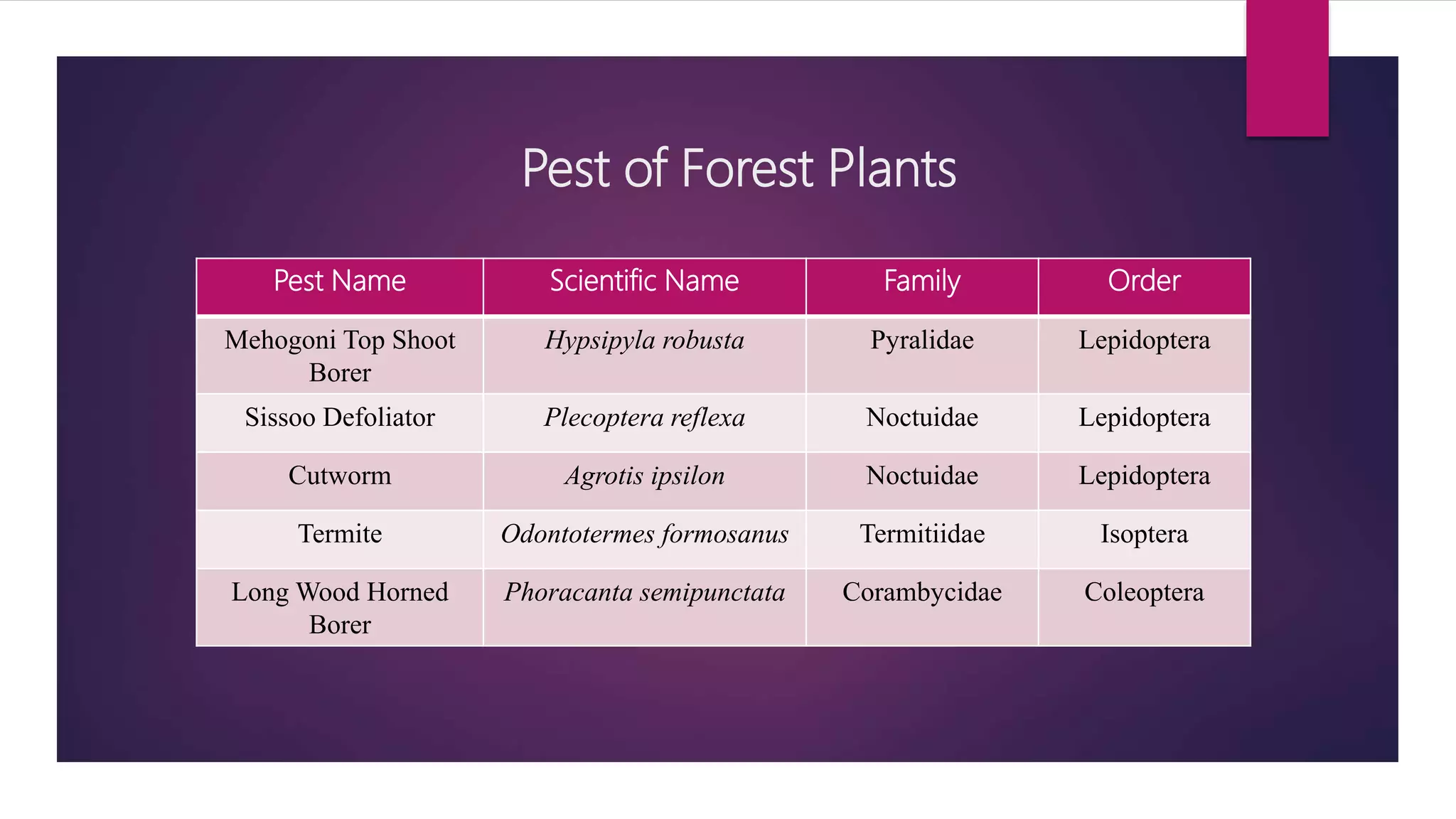 Pest of Forest Plants,Nursery Seedlings & Spices | PPTX