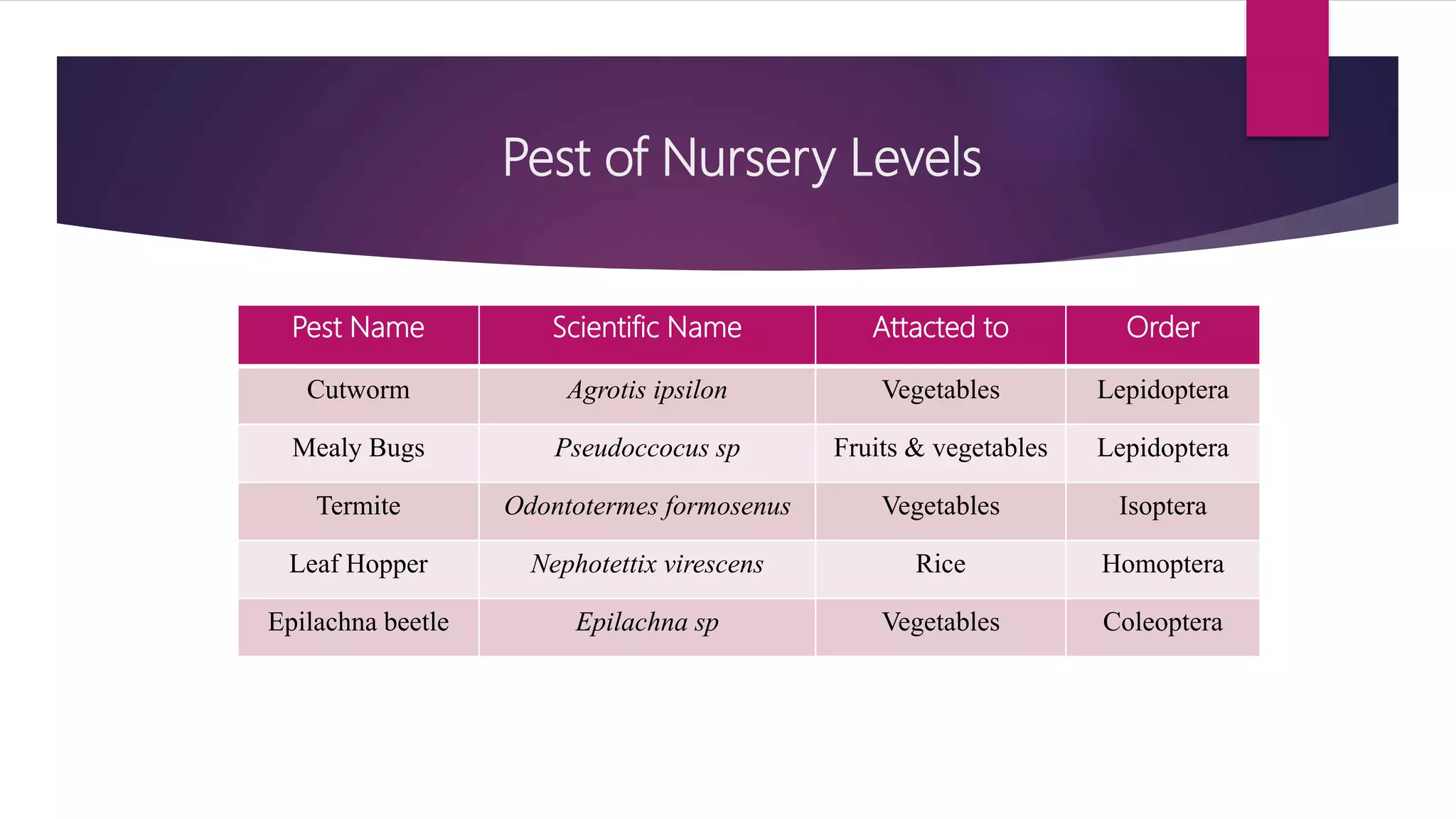 Pest of Forest Plants,Nursery Seedlings & Spices | PPTX