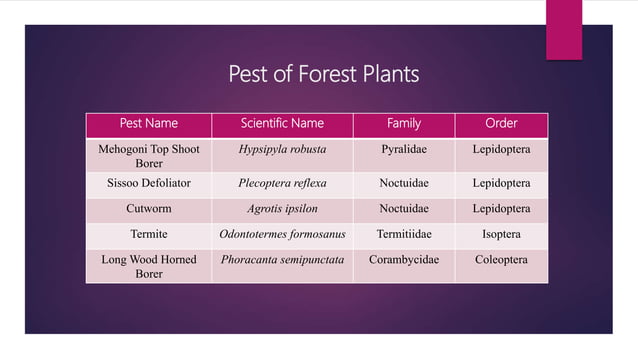 Pest of Forest Plants,Nursery Seedlings & Spices | PPTX