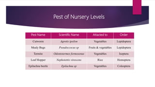 Pest of Forest Plants,Nursery Seedlings & Spices | PPTX