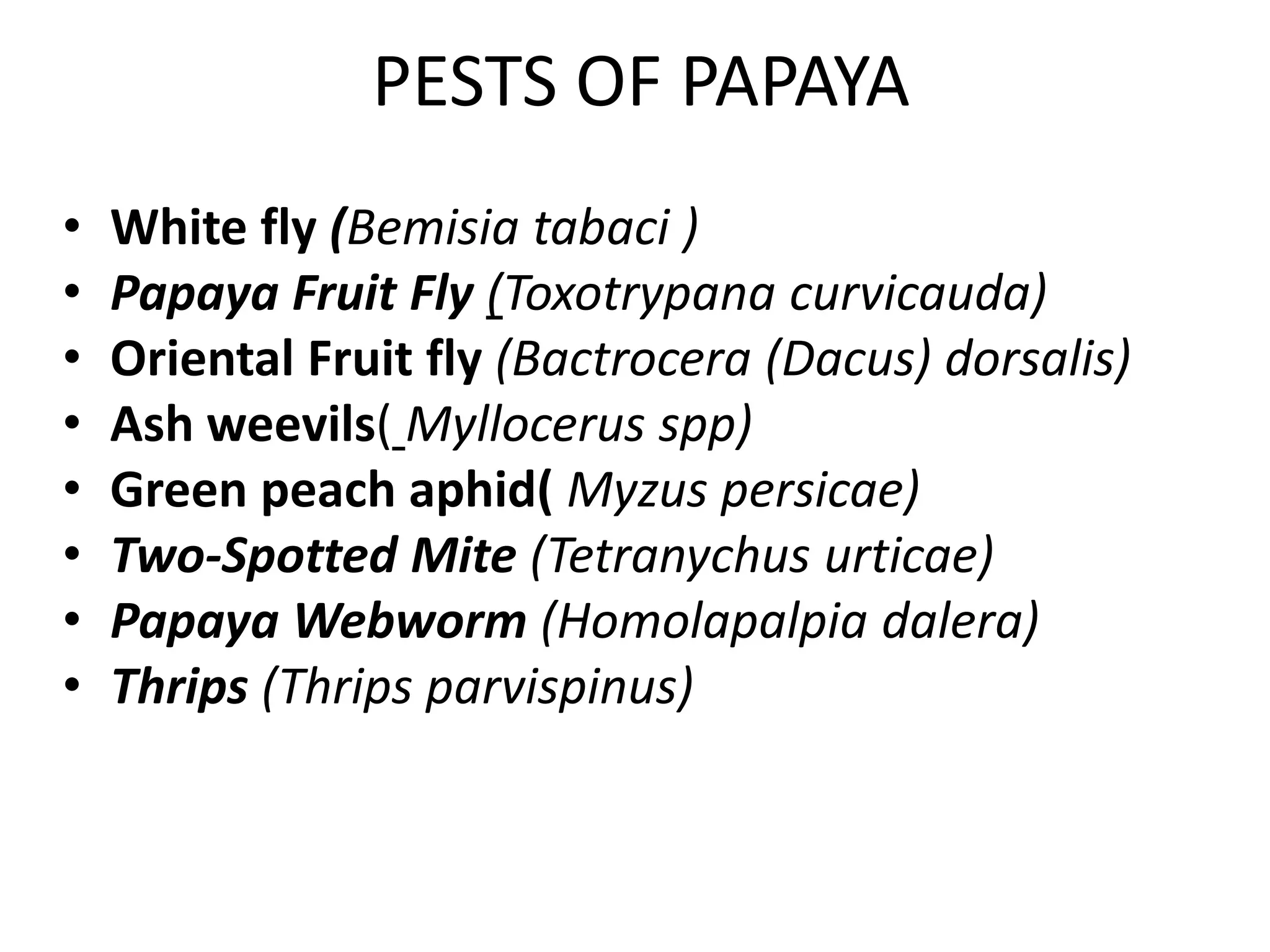 Pest of papaya | PPTX