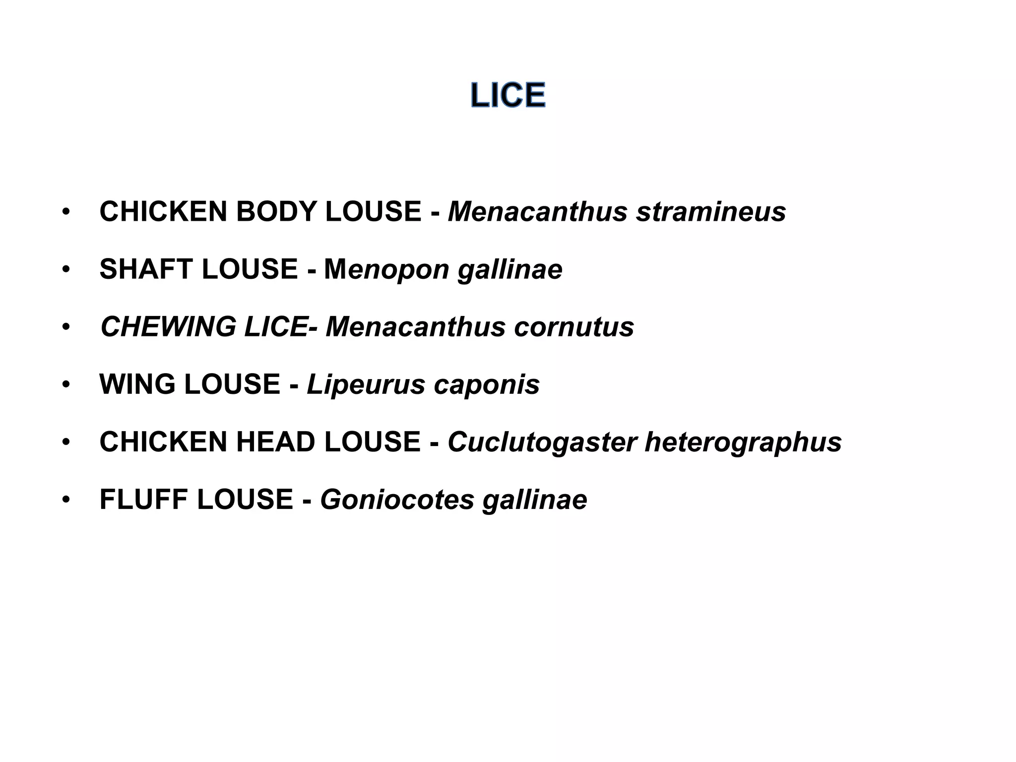 Pest of poultry and their future precautions | PPTX