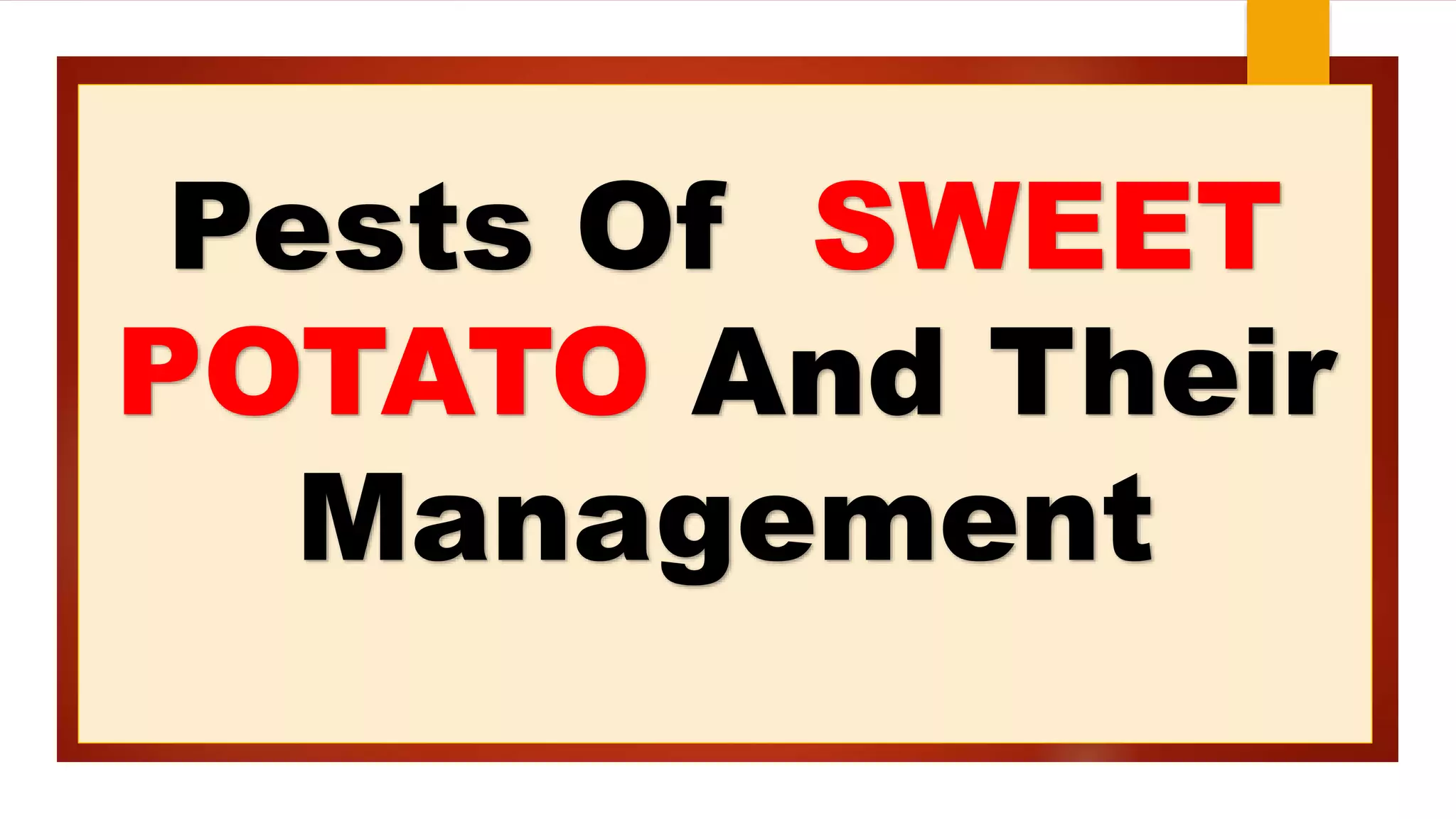 Pest of sweet potato. | PPTX