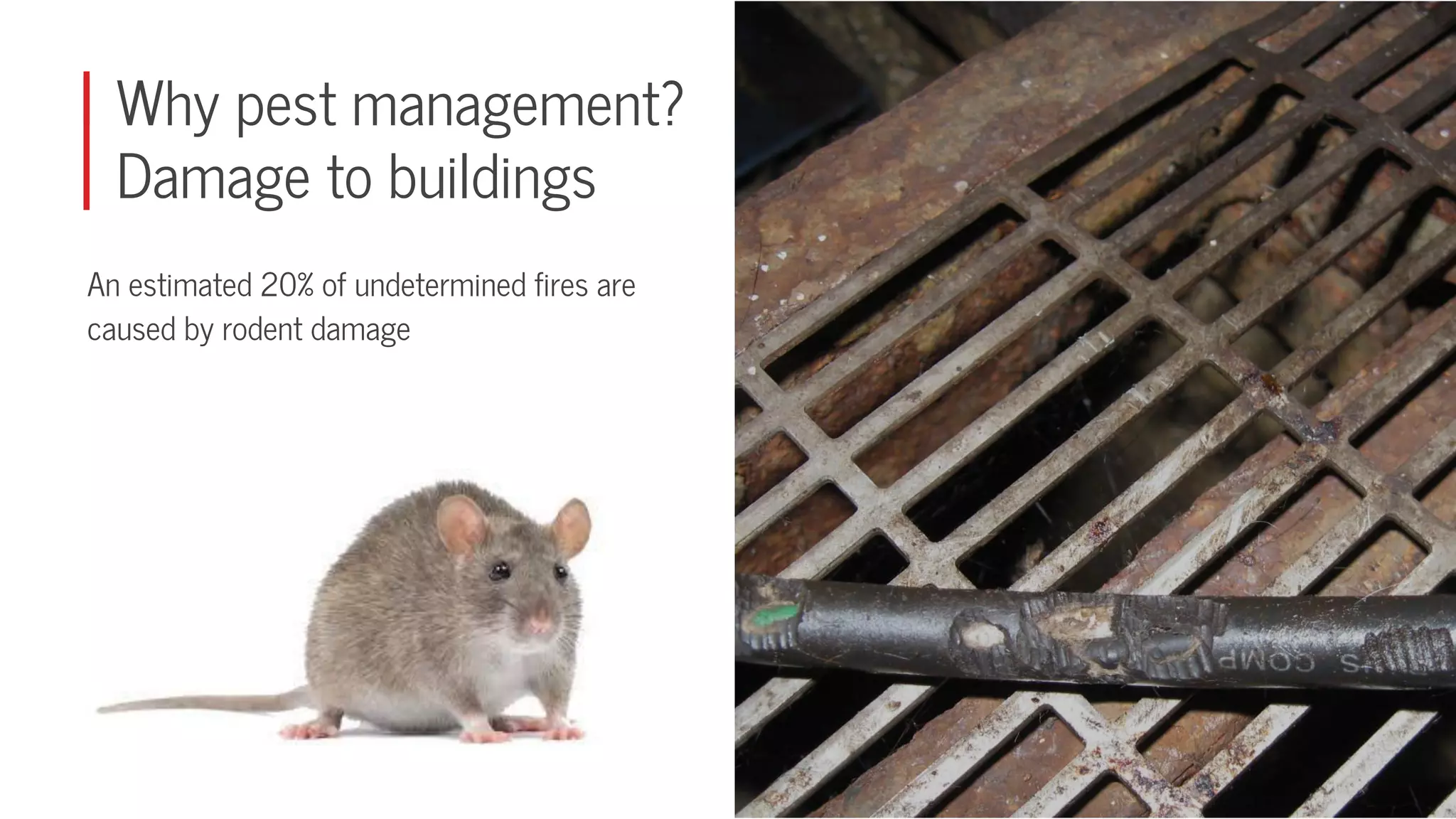 Pest Prevention By Design: Another Dimension of Green Building Best ...