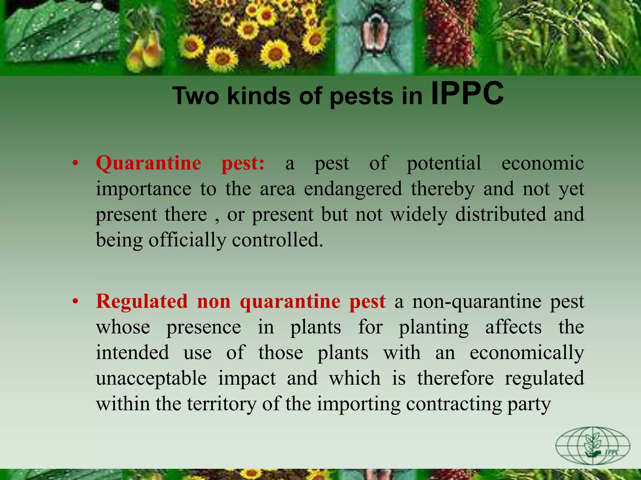 Pest risk analysis | PPTX